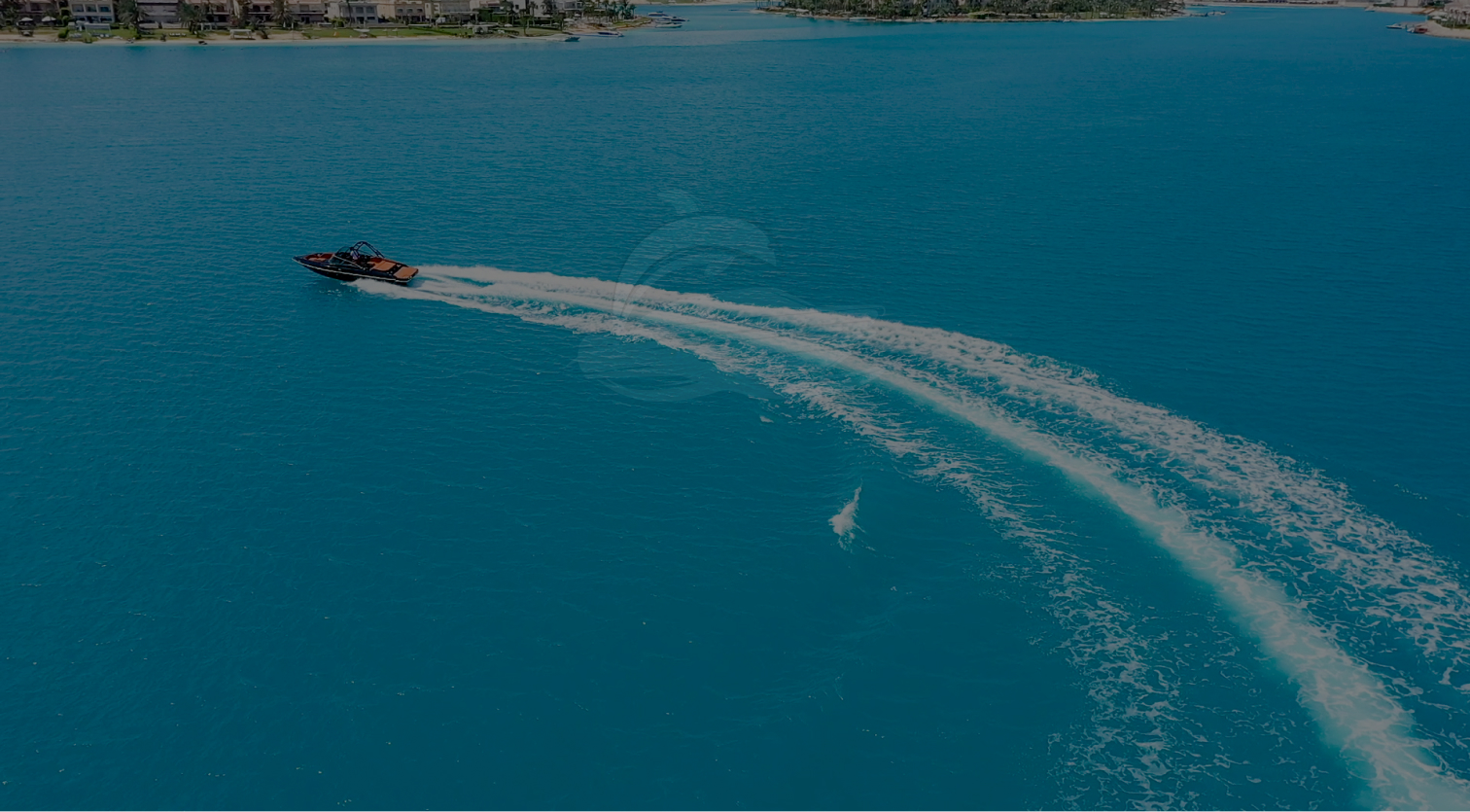 Home - Dolphin Speed Boats